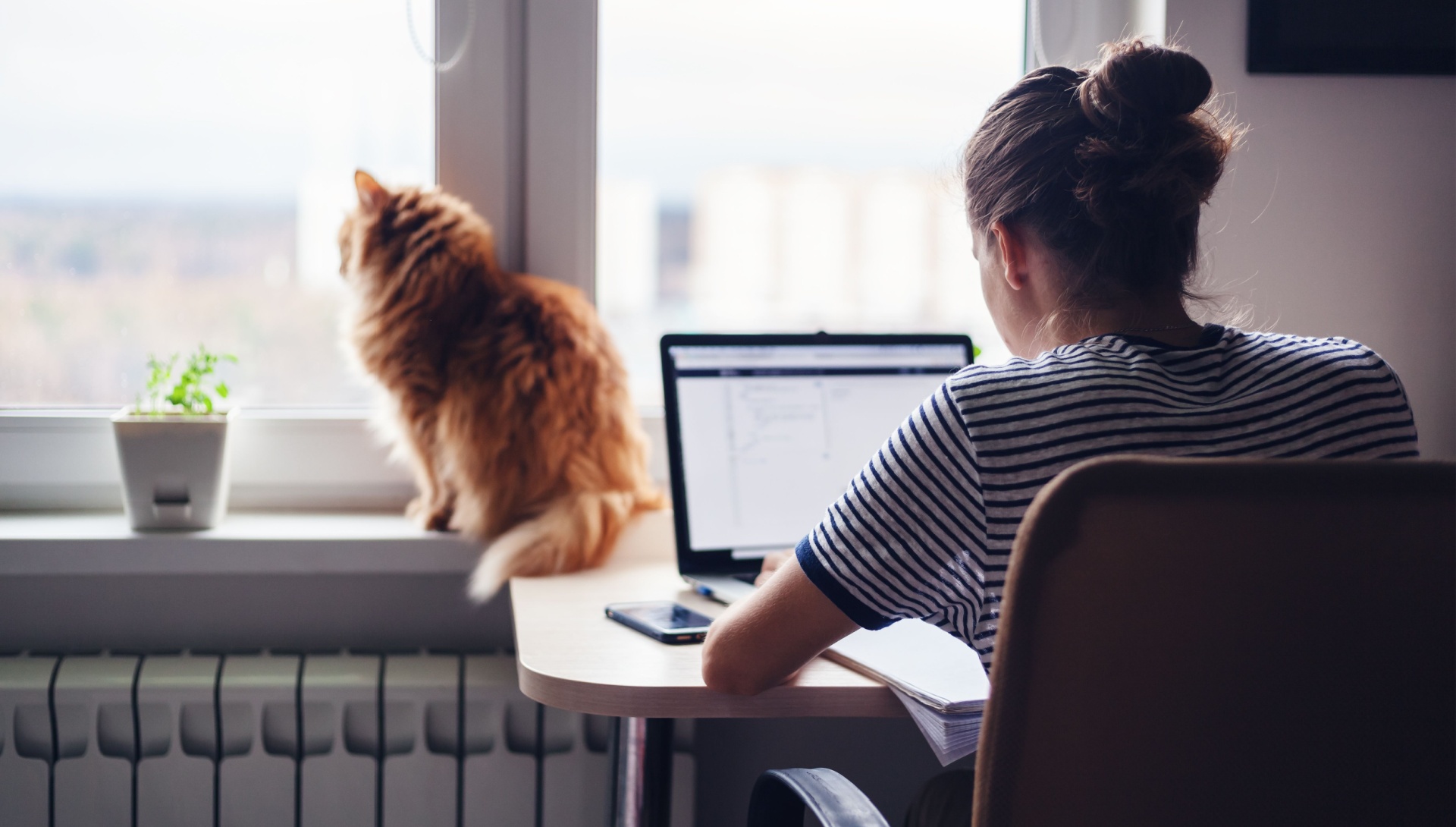 10 unexpected effects of the work-from-home trend - Velocity Financial ...